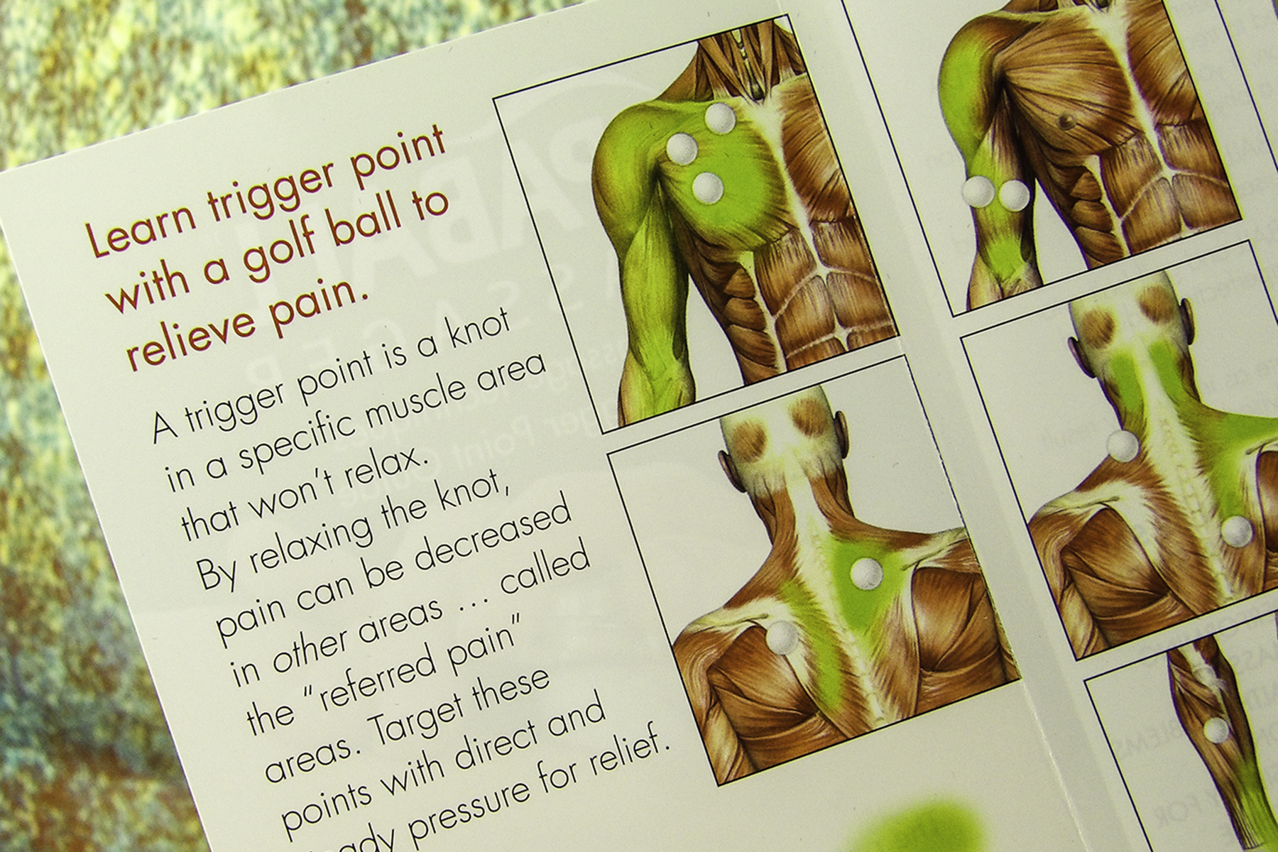 DIY SPA: Learn To Massage Your Partner DVD & SpaBall Massage Kit By ...